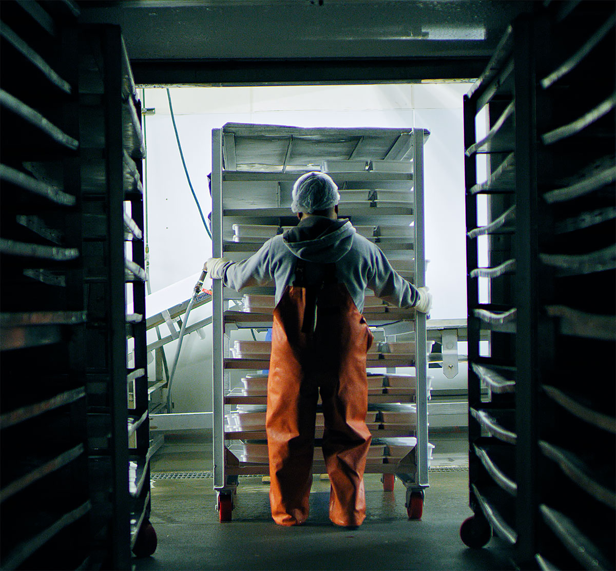Fish Processing - Captain Jack's Seafood Locker | Hope AK