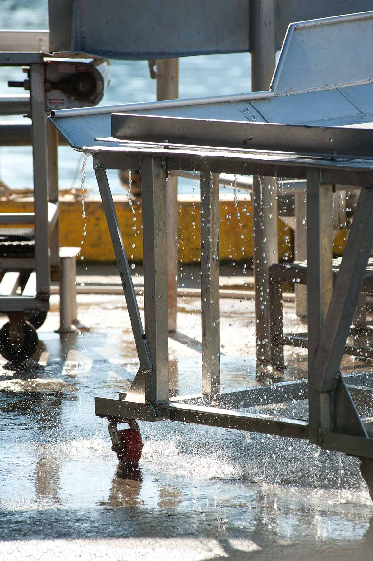 Fish Processing - Captain Jack's Seafood Locker | Hope AK