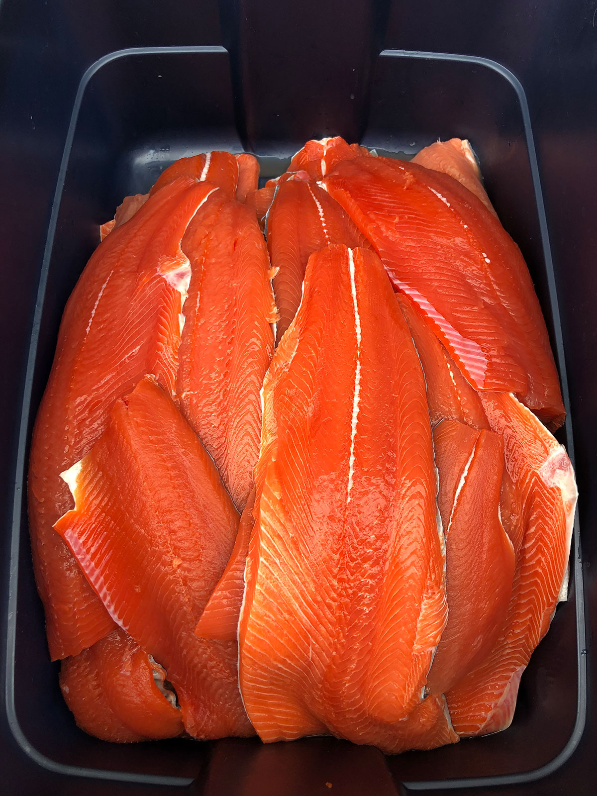 Fish Processing - Captain Jack's Seafood Locker | Hope AK